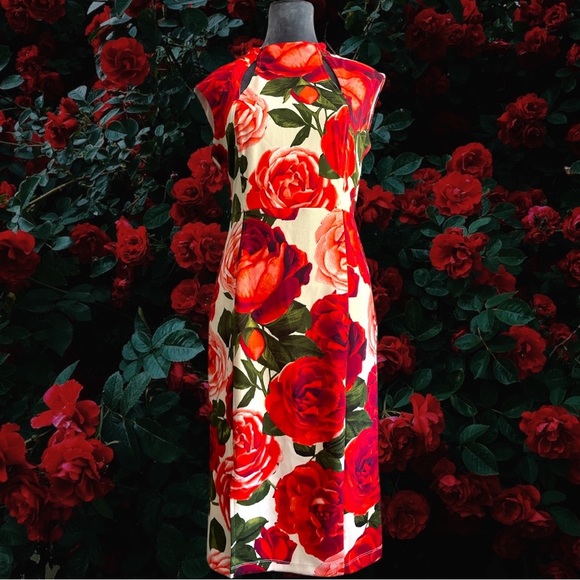 Enfocus Studio | Dresses | Enfocus Studio Attention Grabbing Bold Big ...